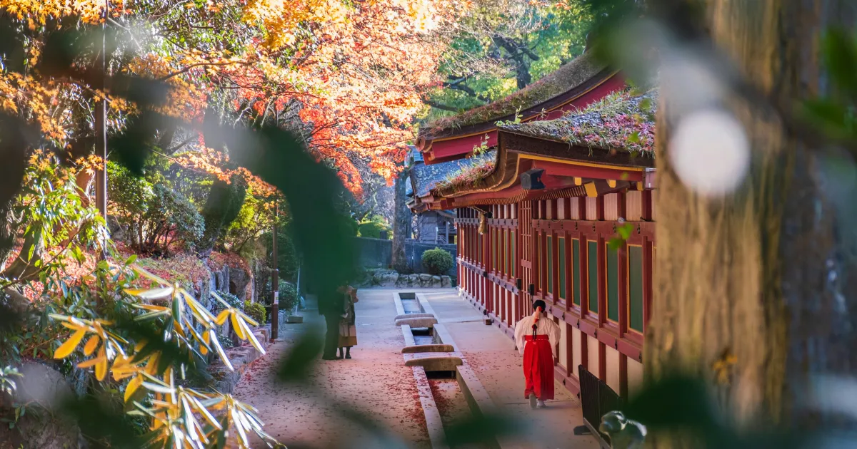 Fukuoka (Hakata) - Riviera Tour